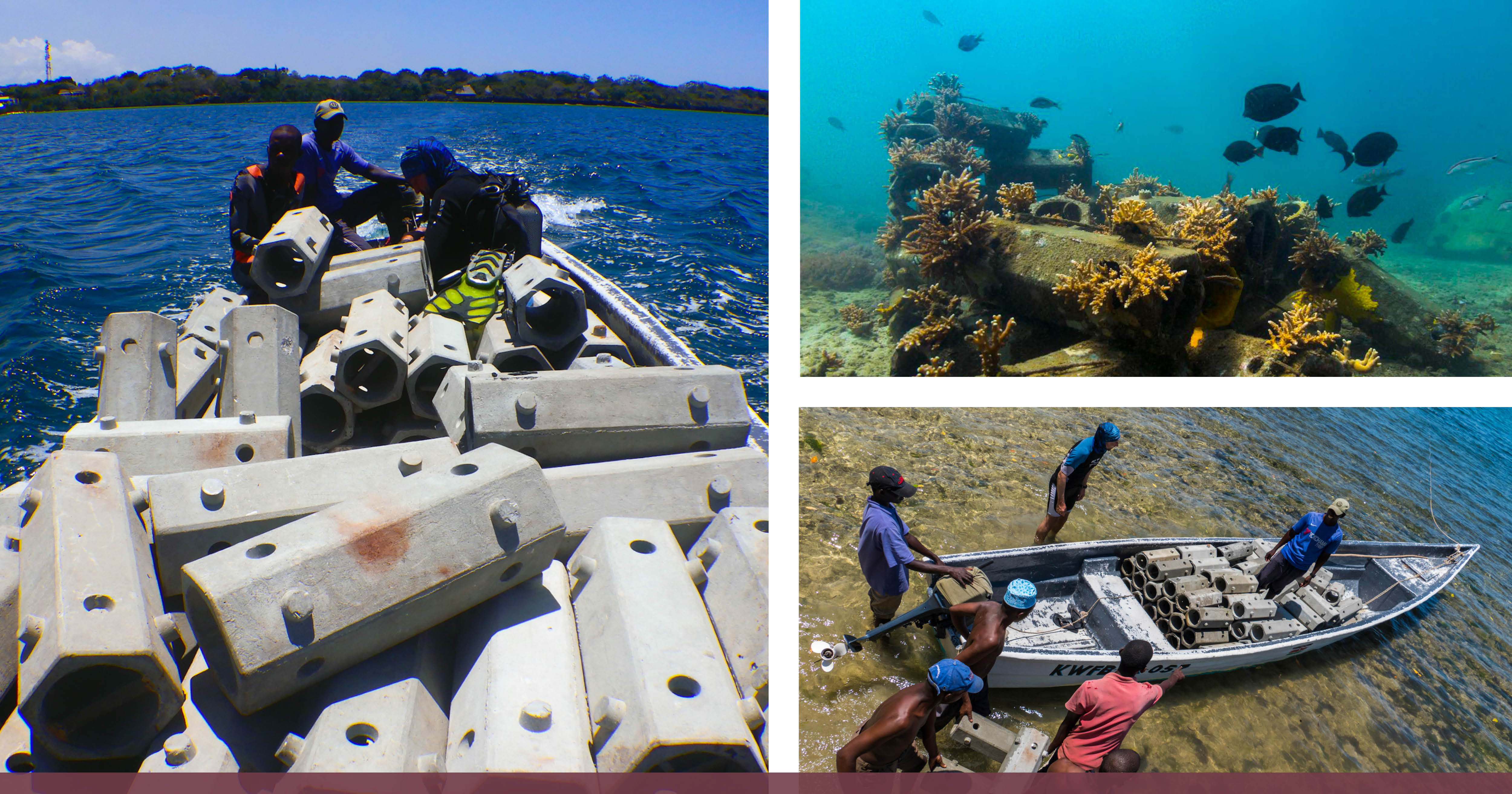 ReefSystems & AFAS Foundation